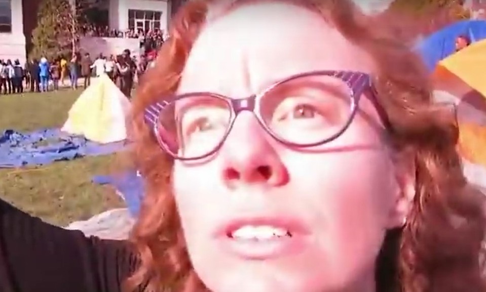 Mizzou Prof Melissa Click Charged With Assault | Law & Crime