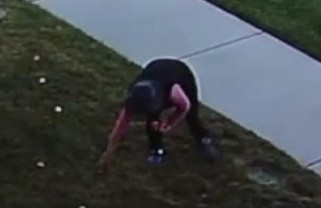 Family: Thieves Stole Easter Eggs and Decorations on Two Separate ...