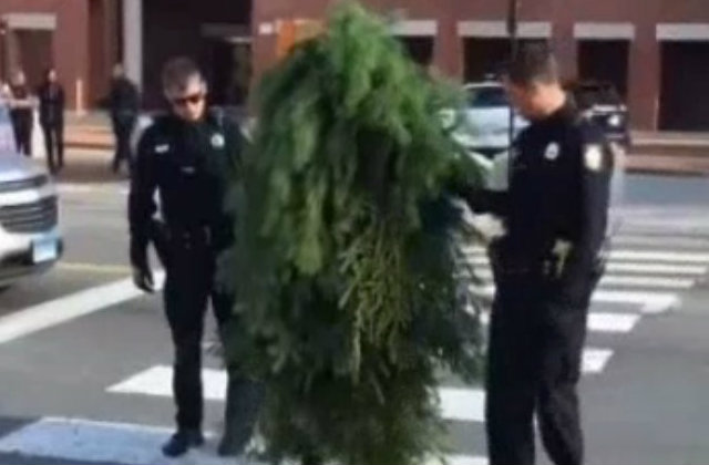 We are Not Kidding — A 'Tree' Was Arrested for Blocking Traffic | Law ...