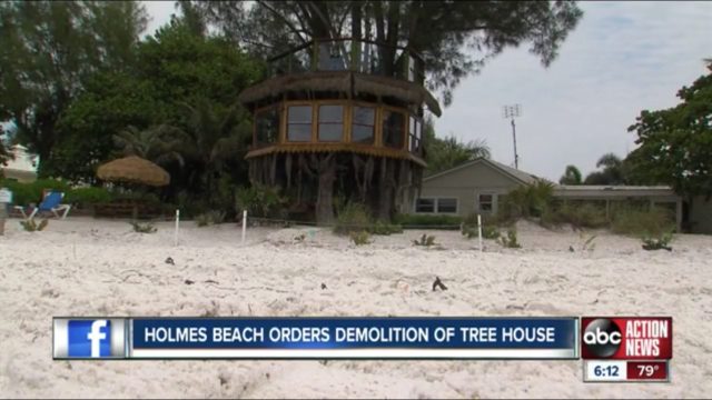 Told Their Treehouse Must Go, Owners Appeal To Supreme Court | Law & Crime