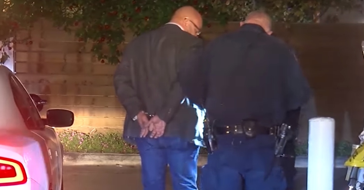 Alexander Samek Tesla DUI Autopilot Arrest | Law & Crime