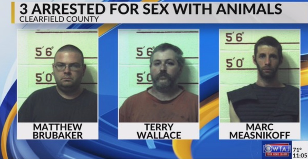 Three Pa. Men Get Decades in Prison for Horse Sex | Law & Crime