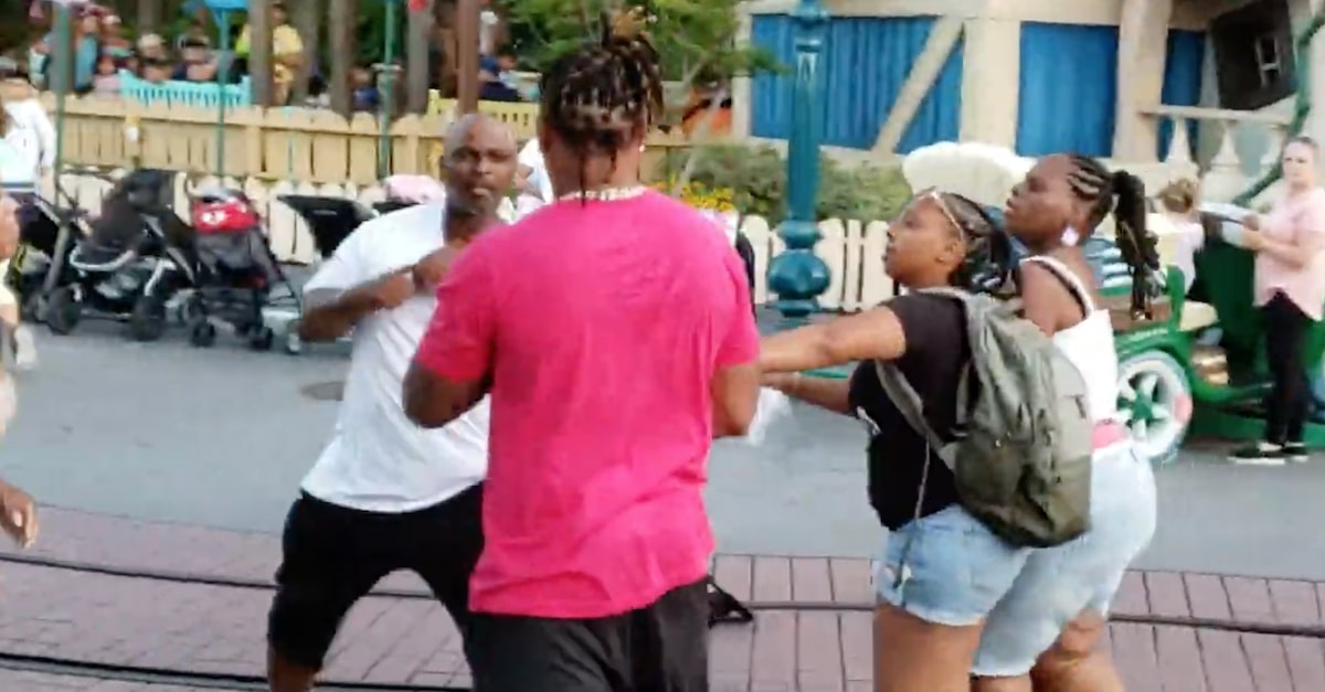 Three Charged for Viral Disneyland Fight | Law & Crime