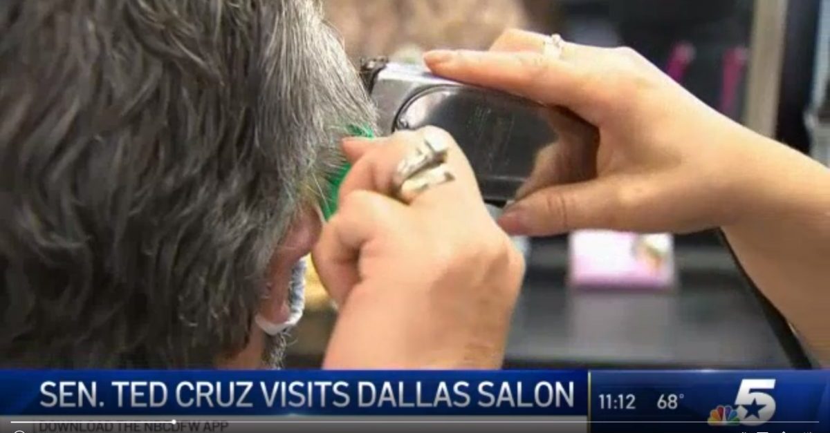 Ted Cruz Gets Haircut from Jailed Salon Owner (PHOTOS) | Law & Crime