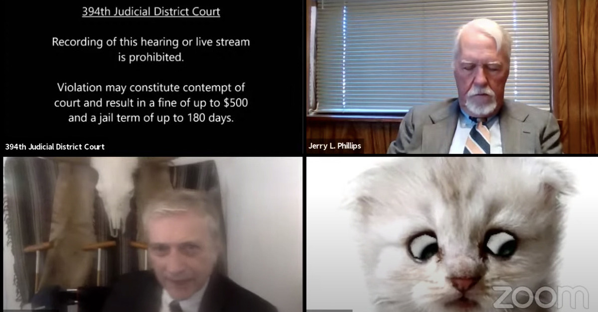 Lawyer Rod Ponton Tells Judge 'I Am Not a Cat' During Zoom Hearing ...