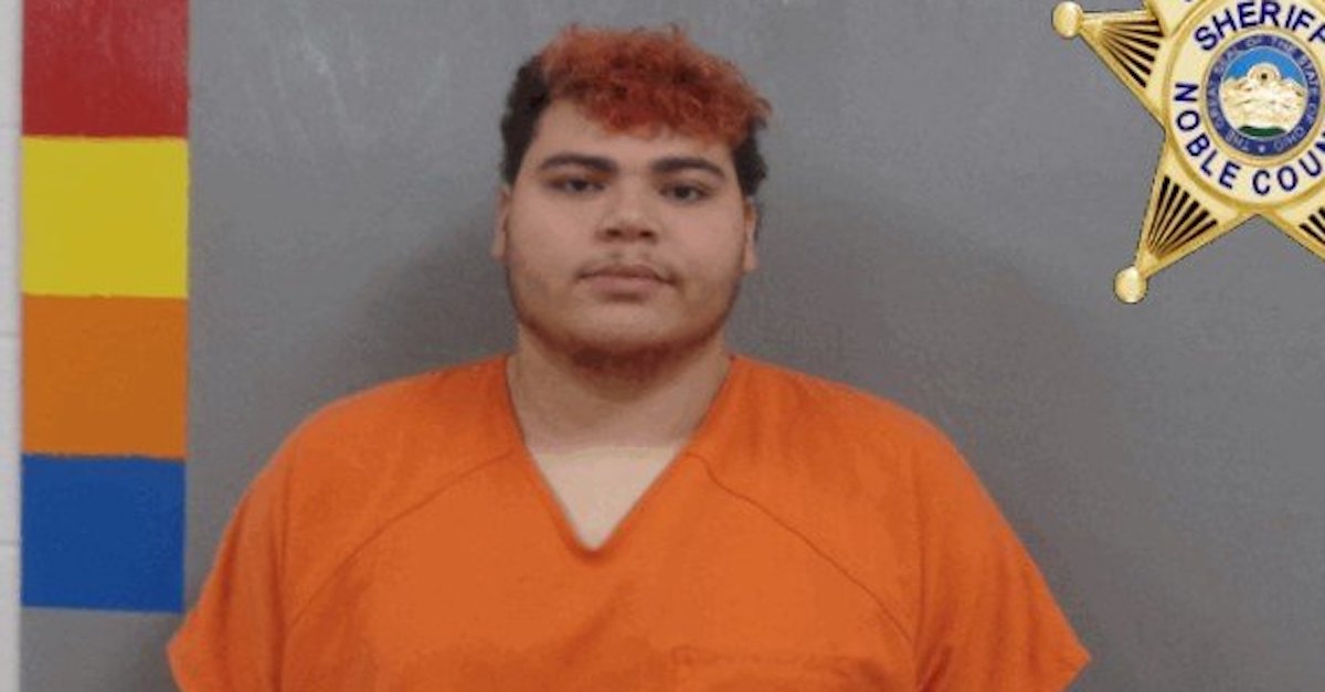 Ohio Man Faces Felony Assault Charge for Severely Burning Toddler in ...