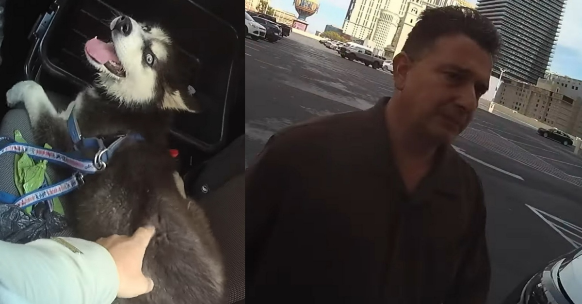 Raul Carbajal Left Dog in Vehicle Amid Intense Heat: Cops