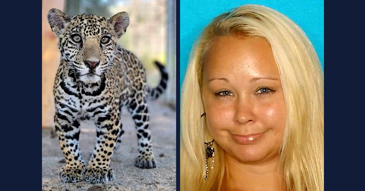 Trisha Denise Meyer, Abdul Rahman Charged in Pet Jaguar Case