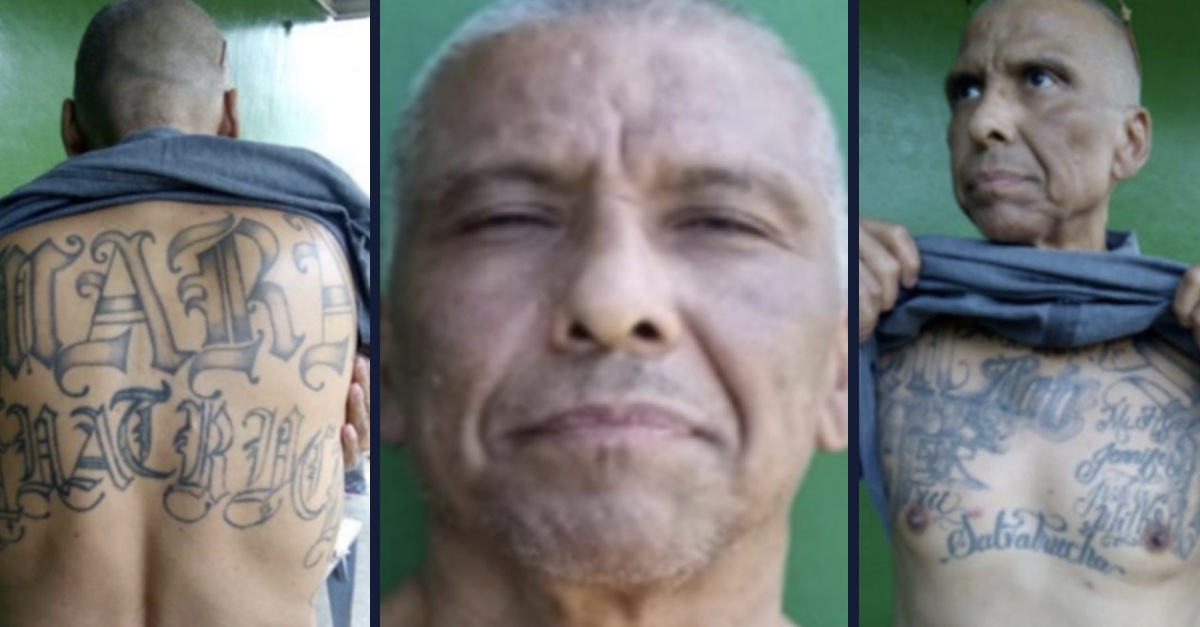 MS-13 leader 'Indio de Hollywood' arrested on terror charges