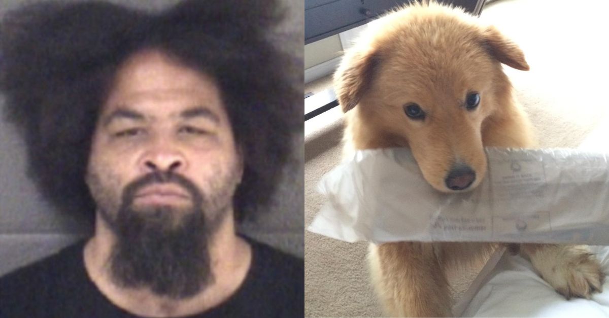 'There was blood everywhere': Man allegedly 'eviscerated' dog, slashing ...