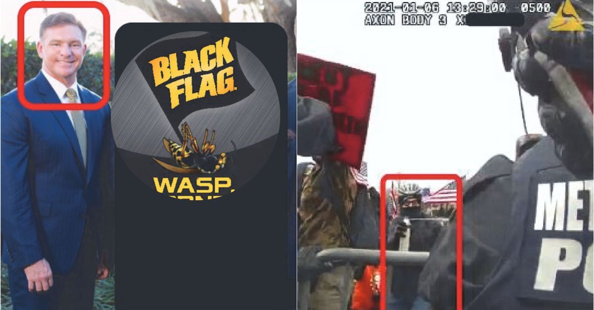 Businessman sprayed DC police with wasp killer and punched AP ...