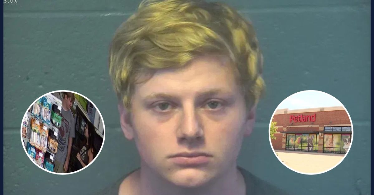 First look at man accused of 'strangling' bunny, snapping parakeet's neck, 'stomping' hamster to ...