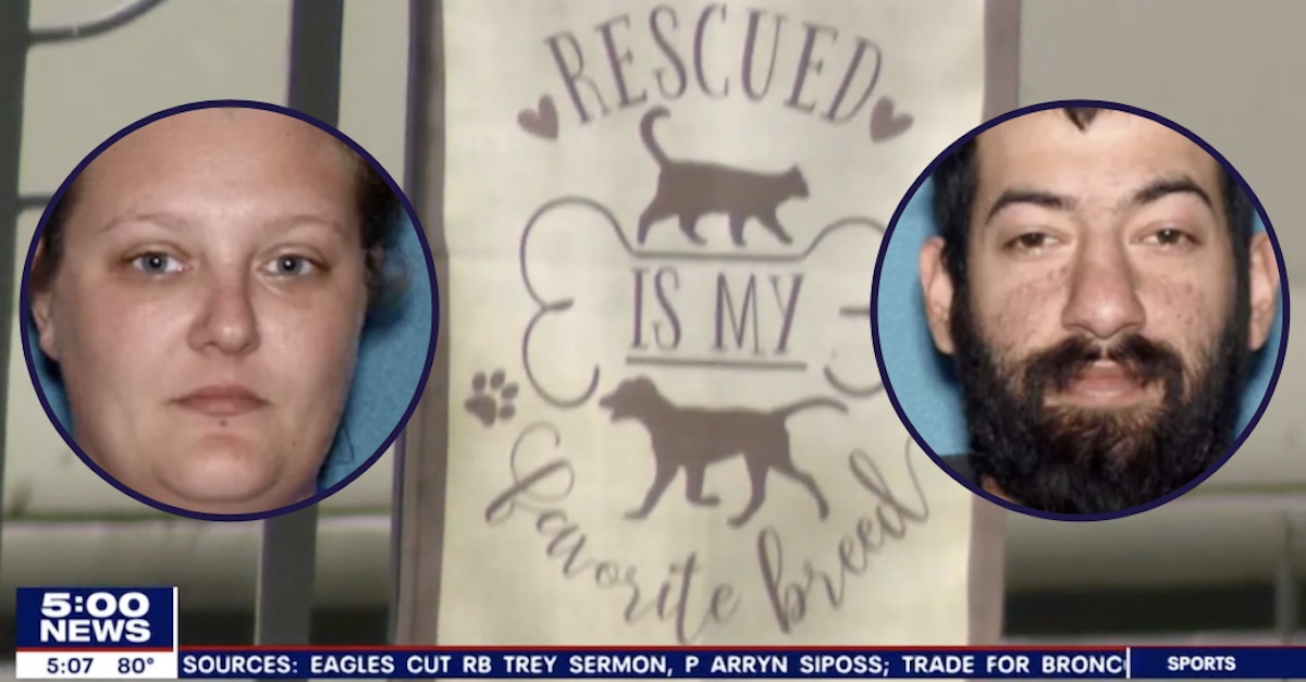 'As many as 100 dogs have died in this home': 9-year-old saved from ...