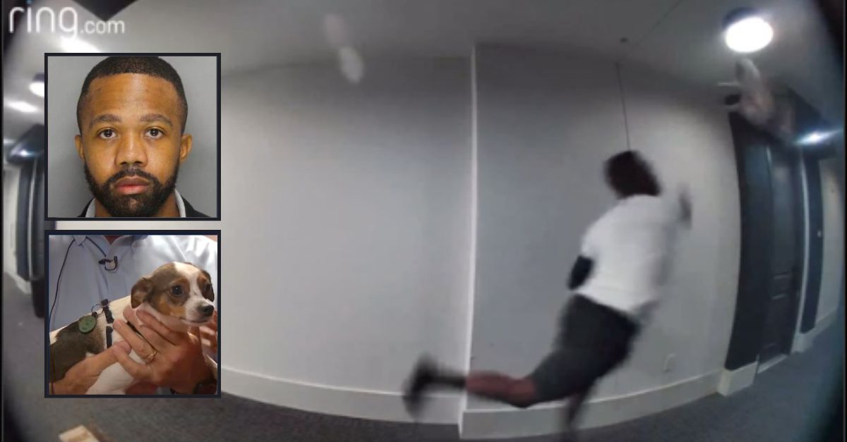 James Moses allegedly threw Smokey the dog at ceiling, wall