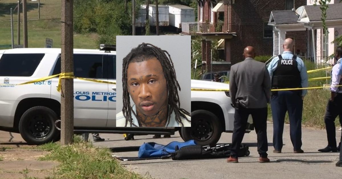 Man charged with murder, robbery for allegedly killing fun-loving, bear ...