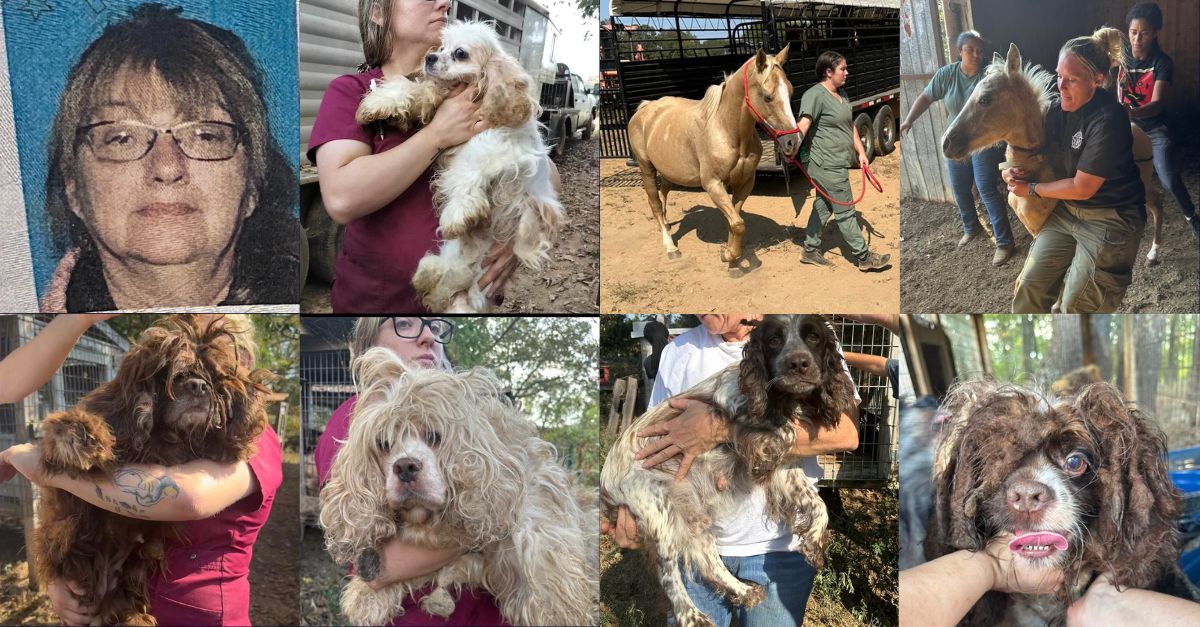 Debra Catledge arrested on animal cruelty charges: Police