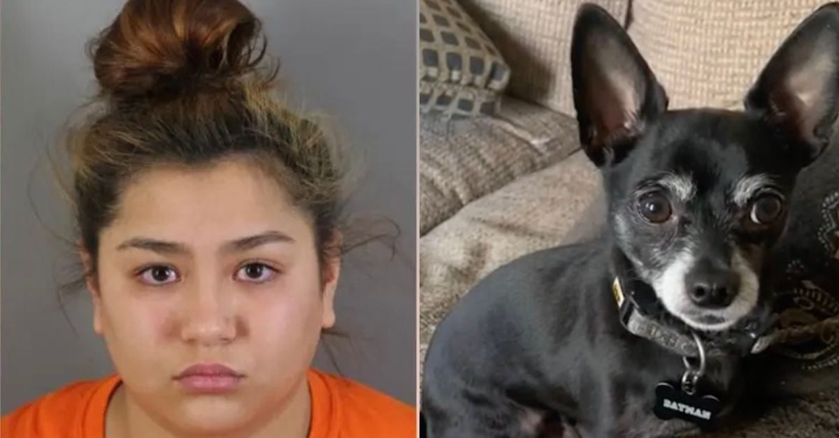 'It's kind of sounding like I did': Babysitter allegedly stabbed ...