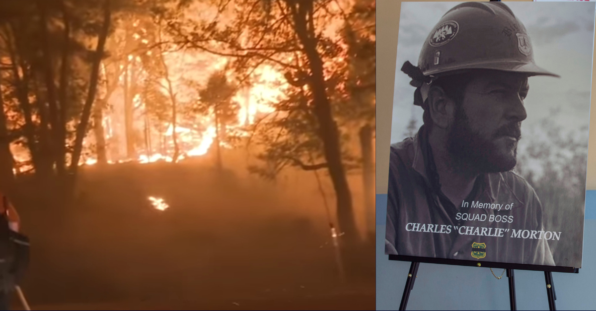 Couple plead guilty in gender reveal party that sparked California ...