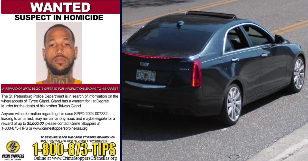 Florida man mows down brother with car twice: Cops