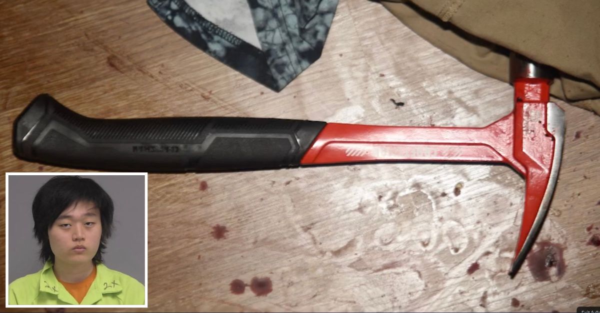 Gamer flew to Florida for attack over video game fight: Cops