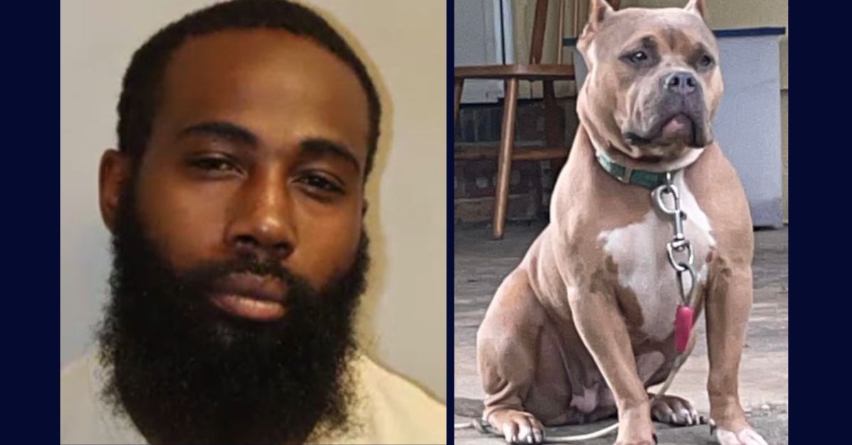 Fake vet who calls himself 'PitGod' promised to care for sick dog named ...