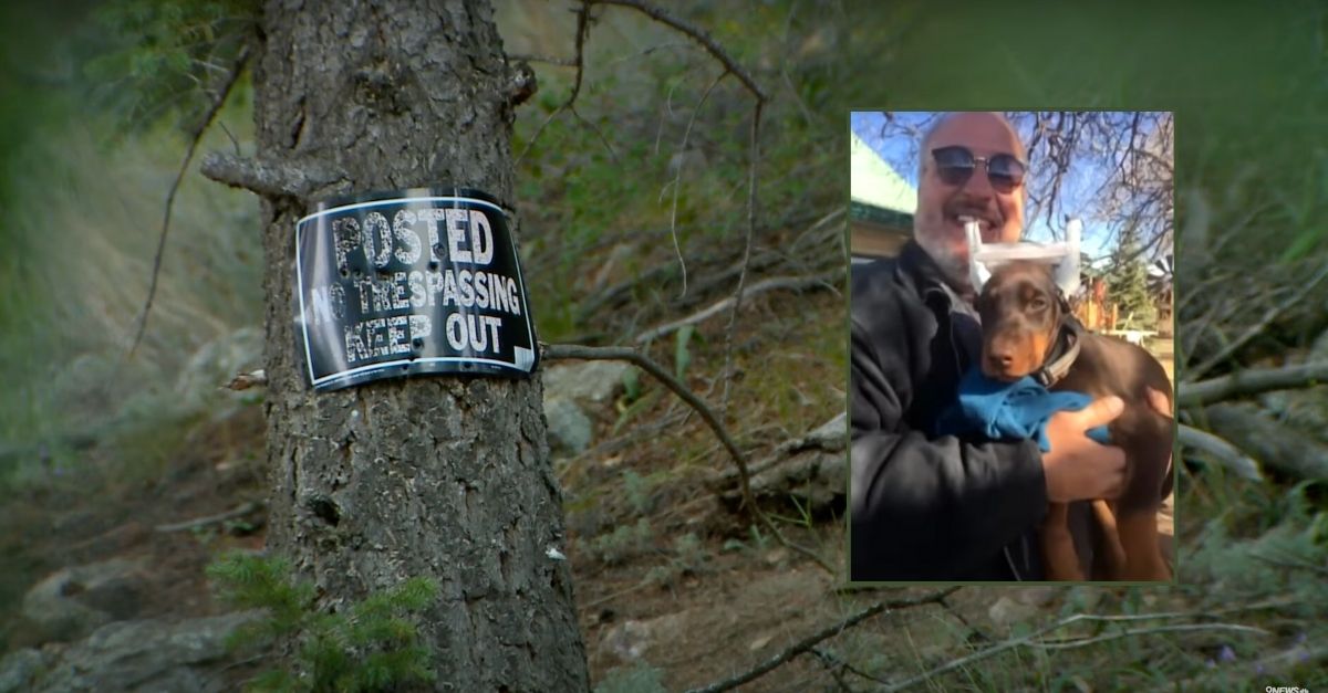 Dog breeder killed, 10 puppies might have been sold: Sheriff