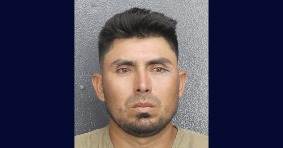 'I couldn't cry. I couldn't talk': Woman run over on purpose by child's ...