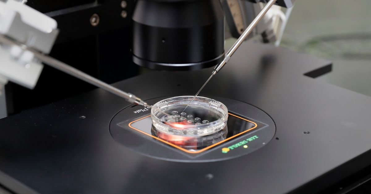 Embryo mix-up means dad isn't related to daughter, could have another ...