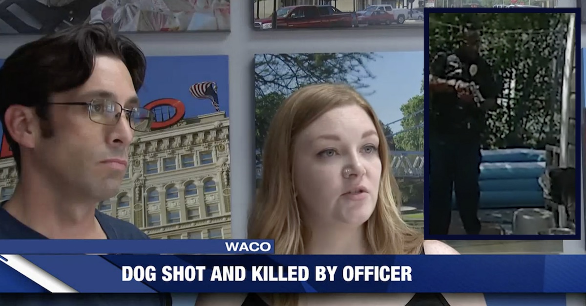 Police shot a Texas couple's dog, but they can't sue: Court