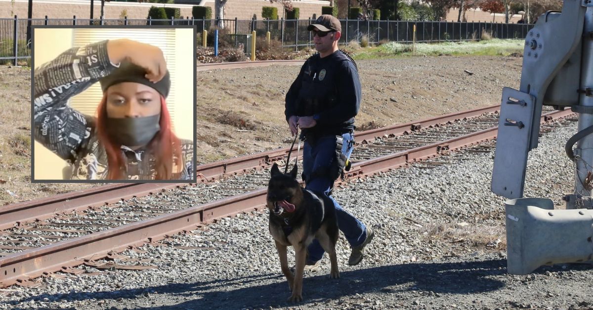 Woman gets $1M after K-9 cop's dog ripped off her scalp
